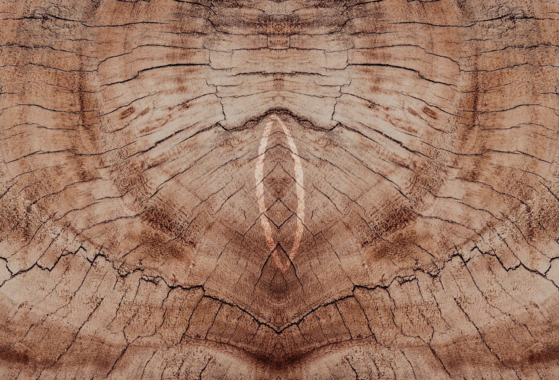 Home - Institut AMAR